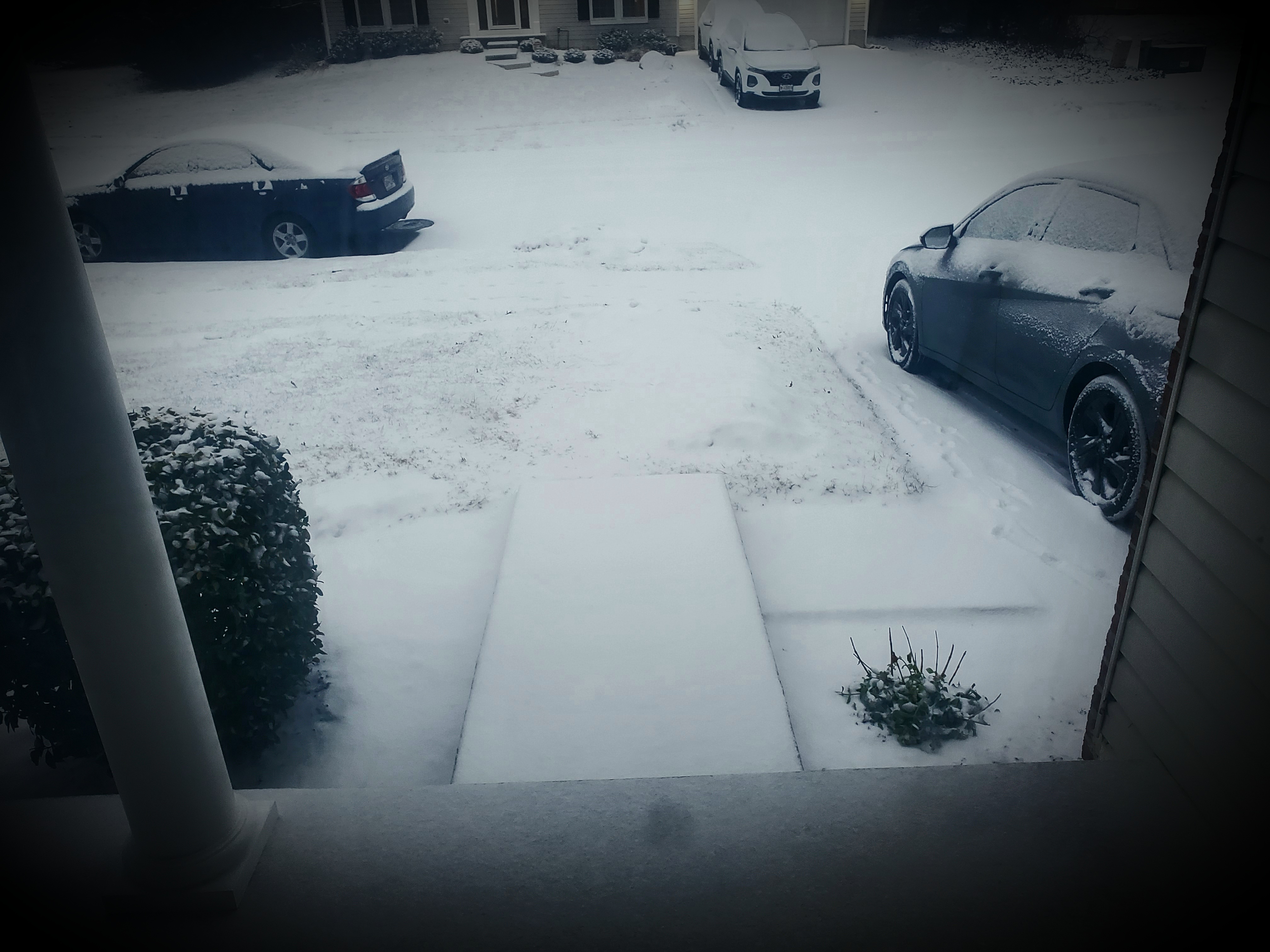 “Night Of The Snow” – The Real Life Corner